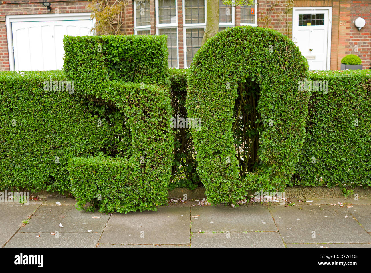 A bush cut into the shape of the number 50 Stock Photo - Alamy
