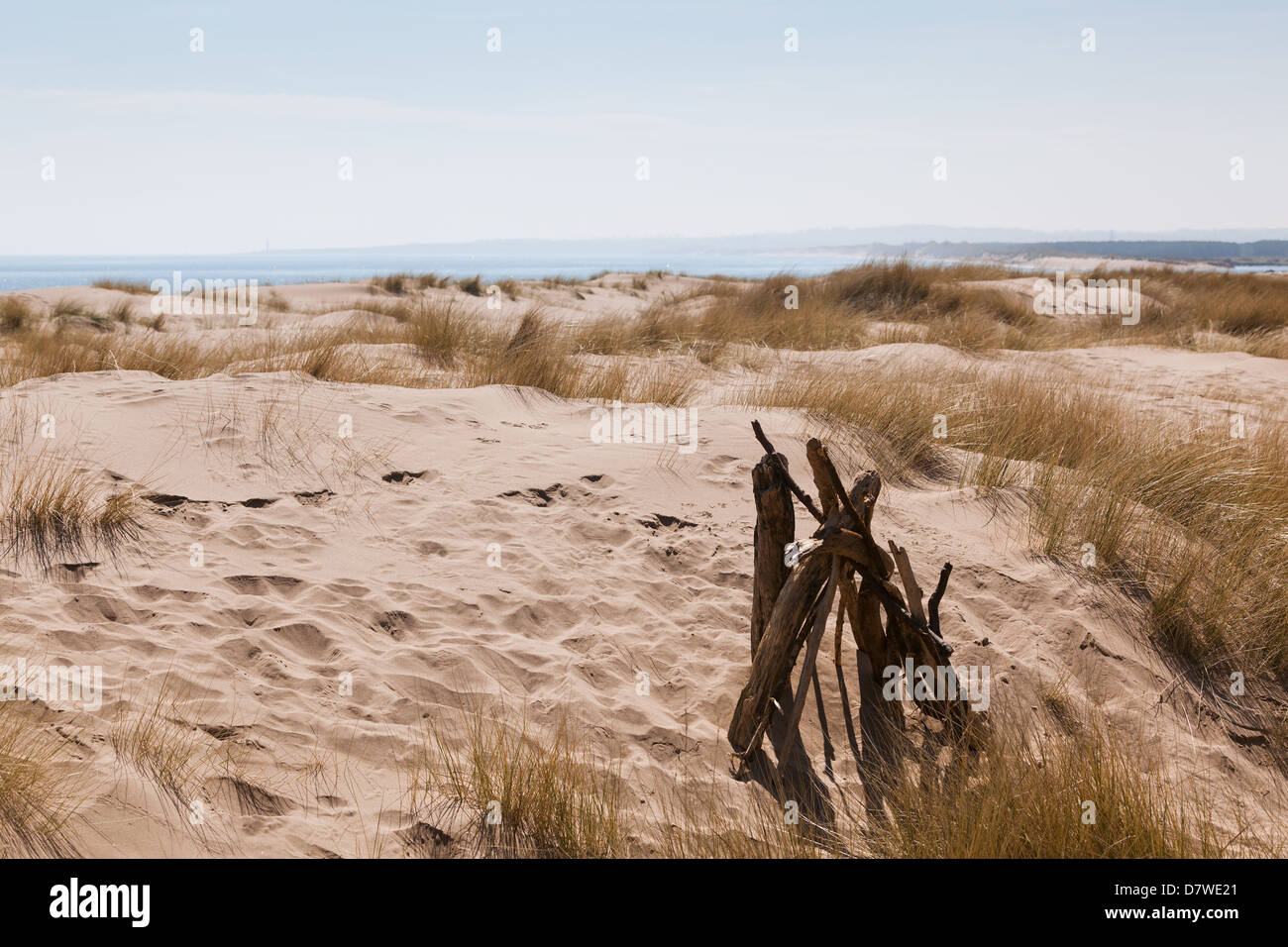 St Cyrus nature reserve beach. East Coast N.Scotland UK Stock Photo - Alamy