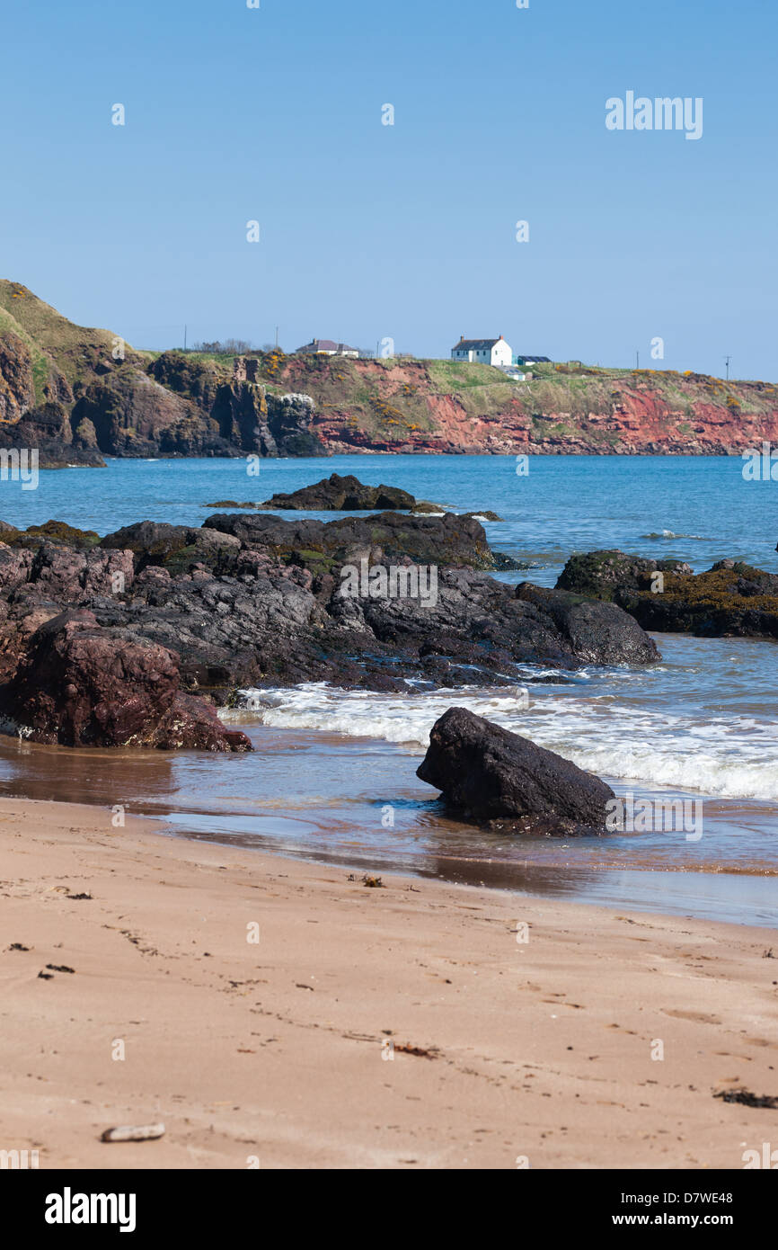 St Cyrus nature reserve beach East Coast Scotland Stock Photo - Alamy