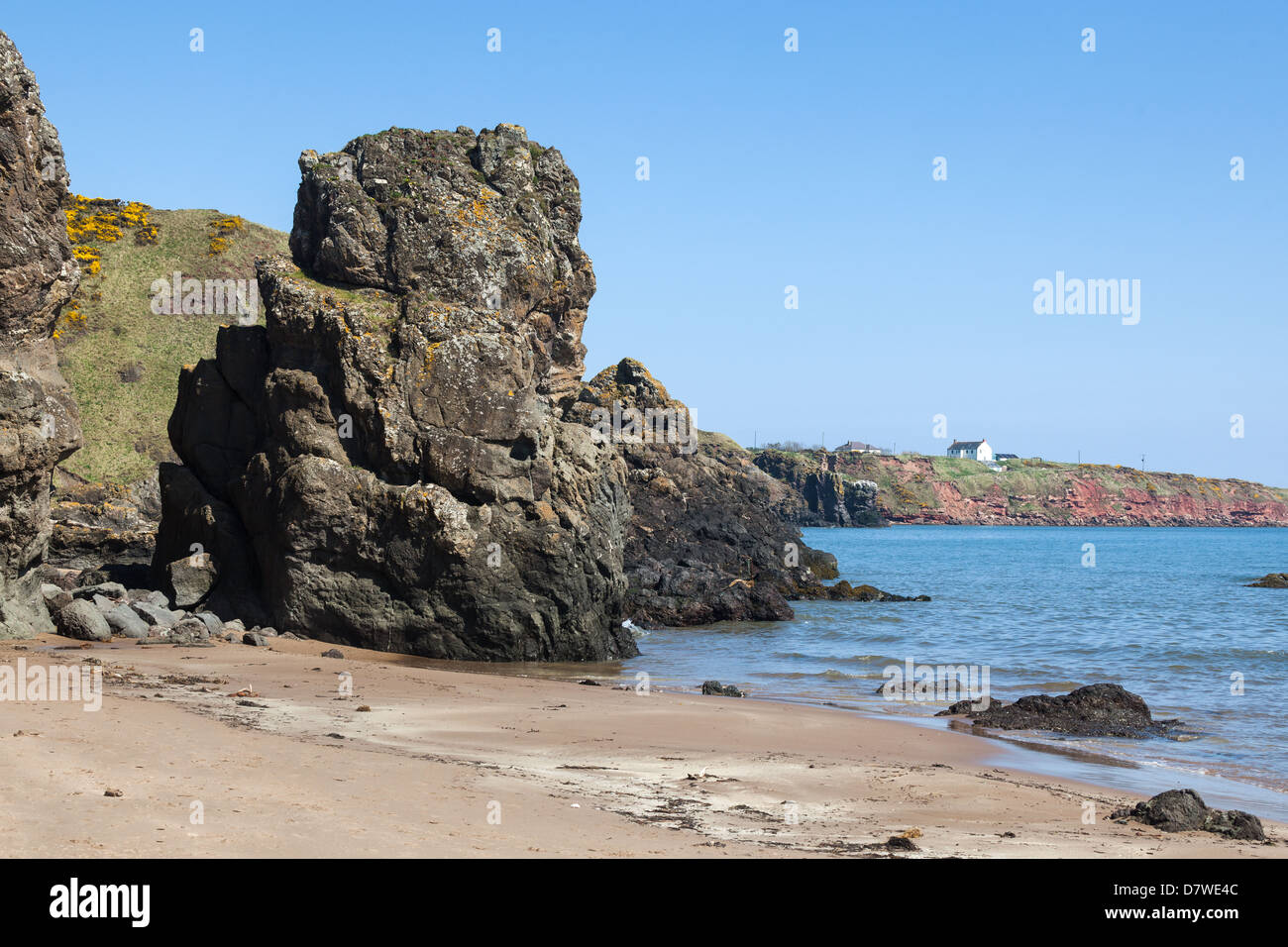St Cyrus nature reserve beach East Coast Scotland uk Stock Photo - Alamy