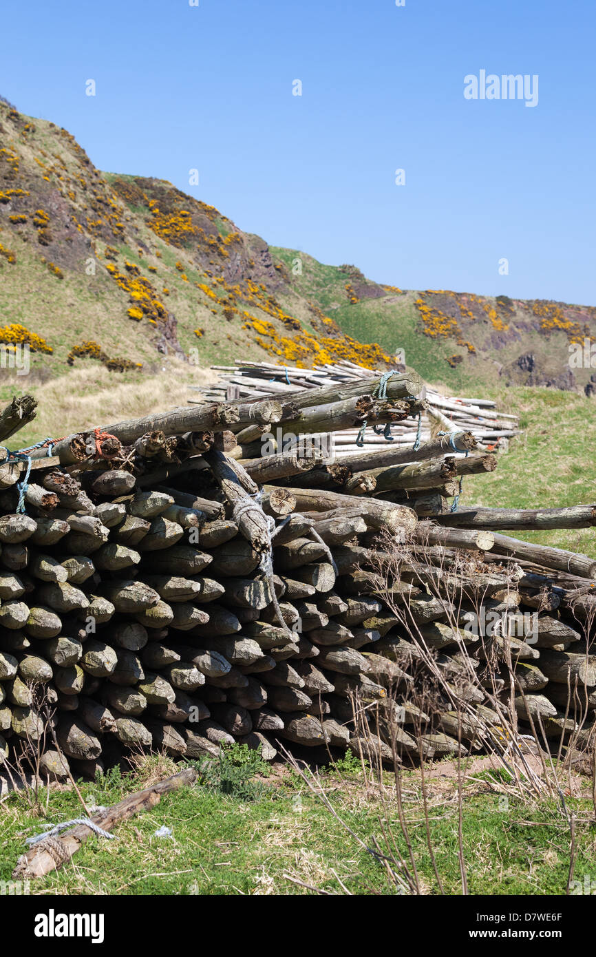 .St Cyrus nature reserve beach East Coast Scotland Stock Photo - Alamy