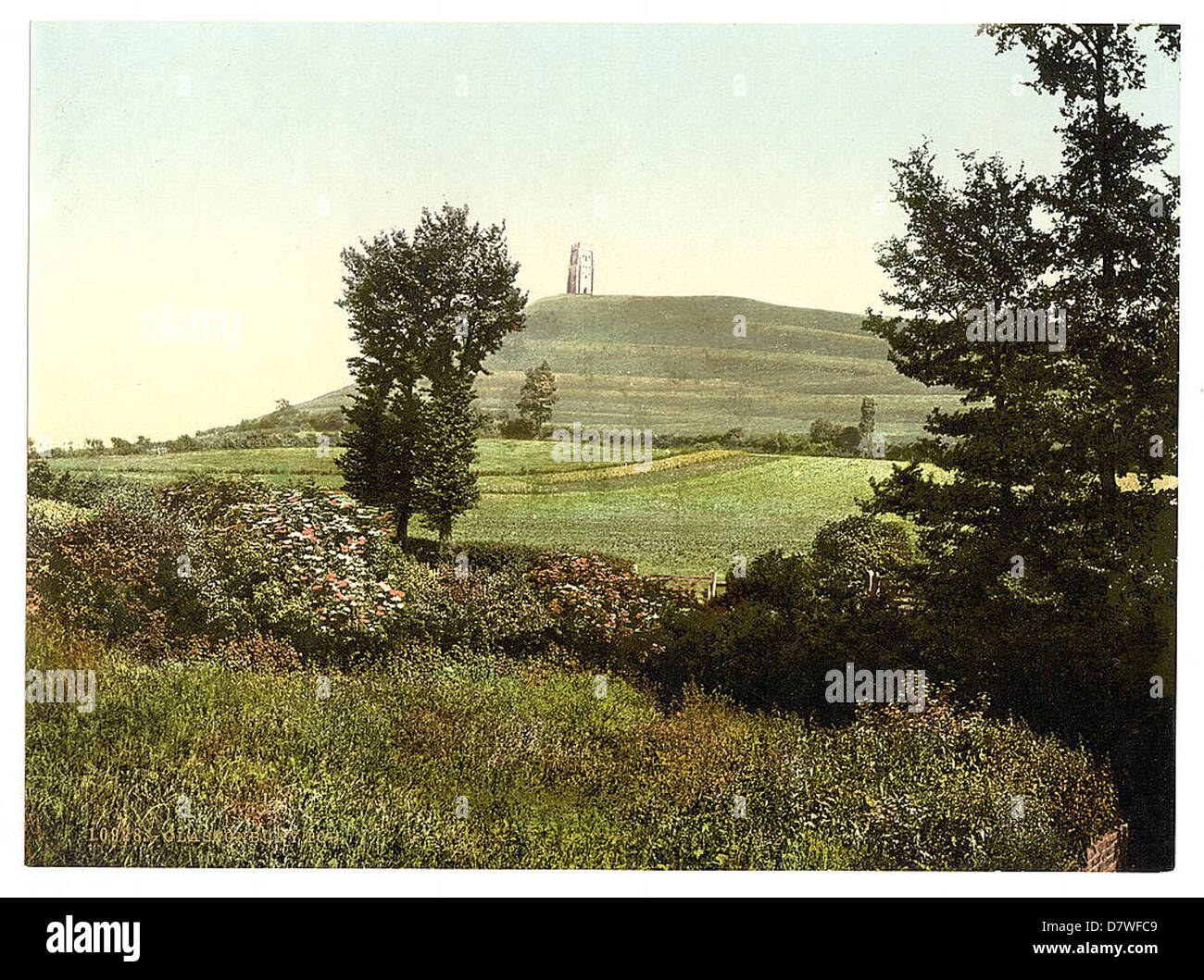 This photograph of Tor Hill in Glastonbury captures the natural beauty ...