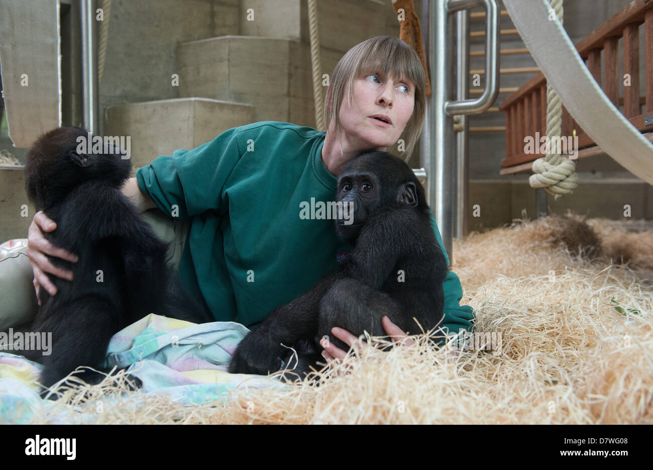 Primate house hi-res stock photography and images - Alamy