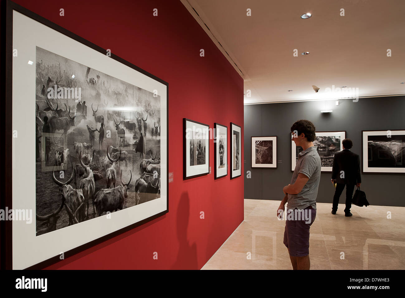 Exhibition "Genesis" of the Brazilian Photographer Sebastiao Salgado ...
