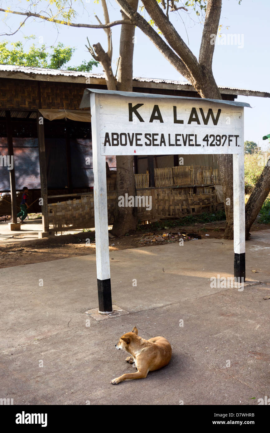 Sleepy trees hi-res stock photography and images - Alamy