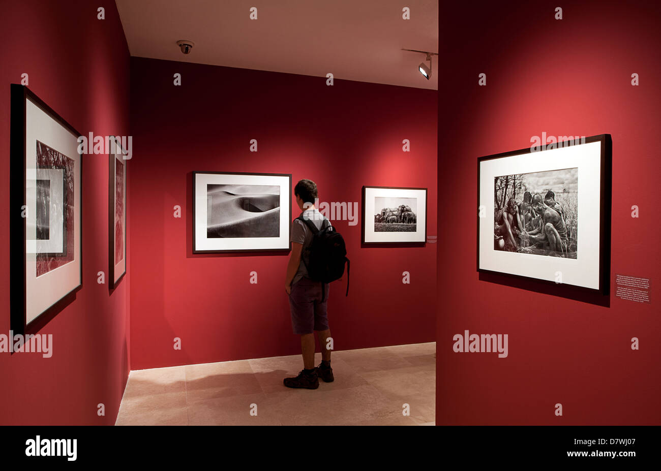 Exhibition "Genesis" of the Brazilian Photographer Sebastiao Salgado ...