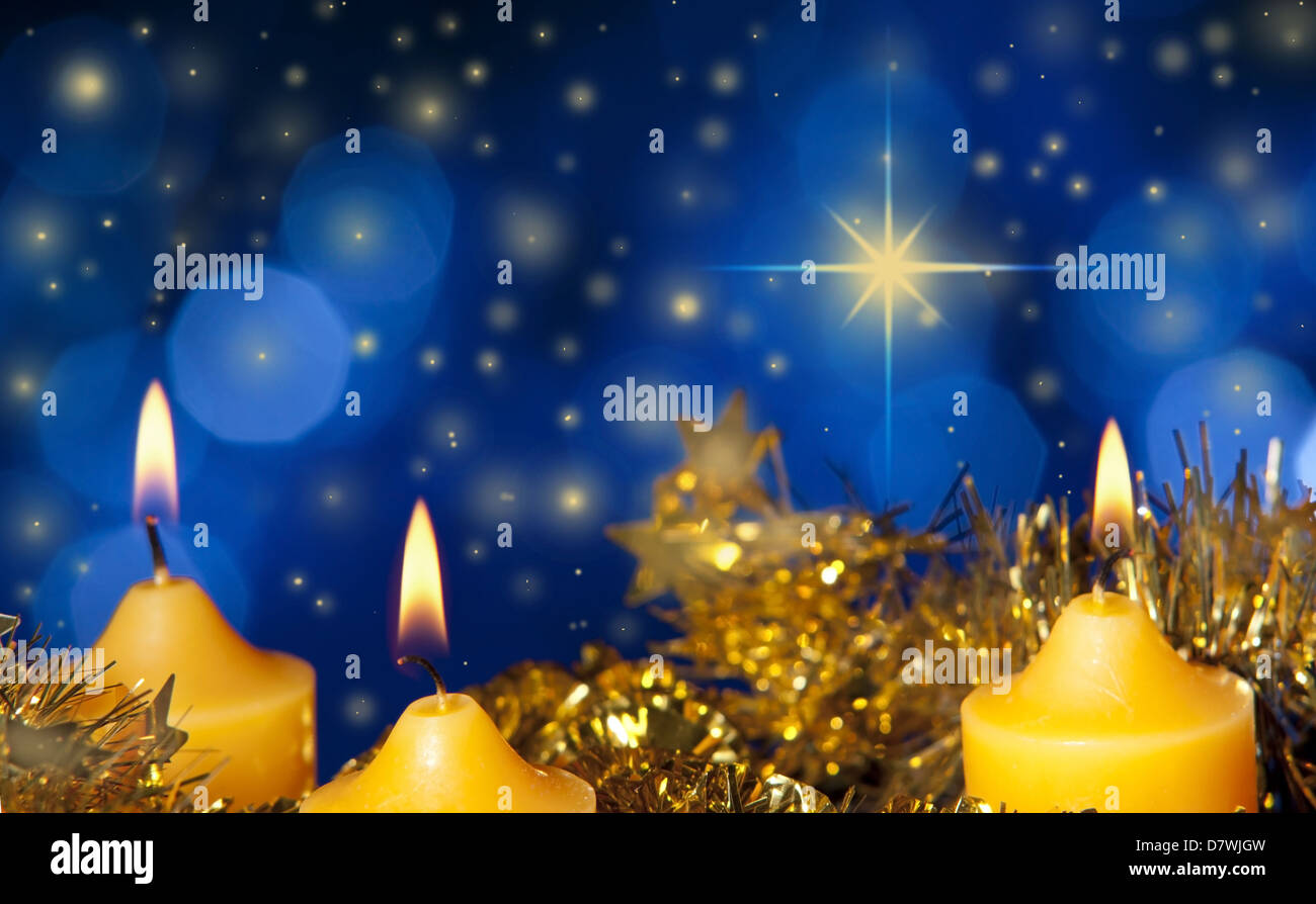 Golden flame tree hi-res stock photography and images - Alamy