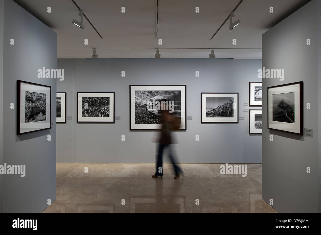 Exhibition "Genesis" of the Brazilian Photographer Sebastiao Salgado ...