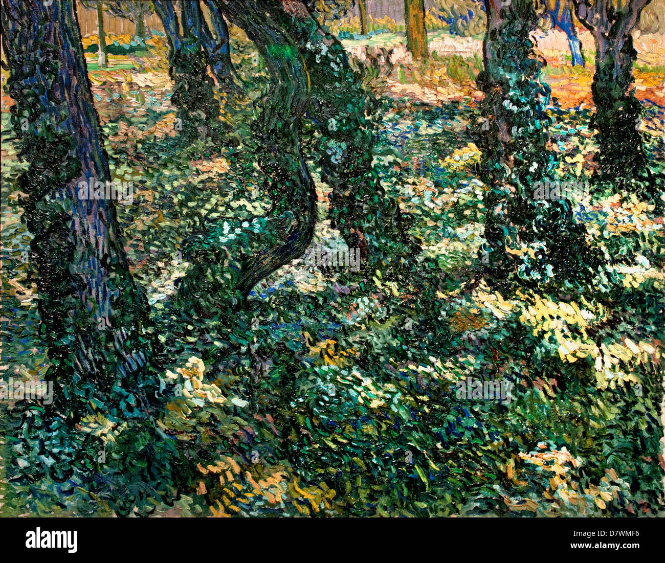 Vincent van gogh trees undergrowth hi-res stock photography and images ...
