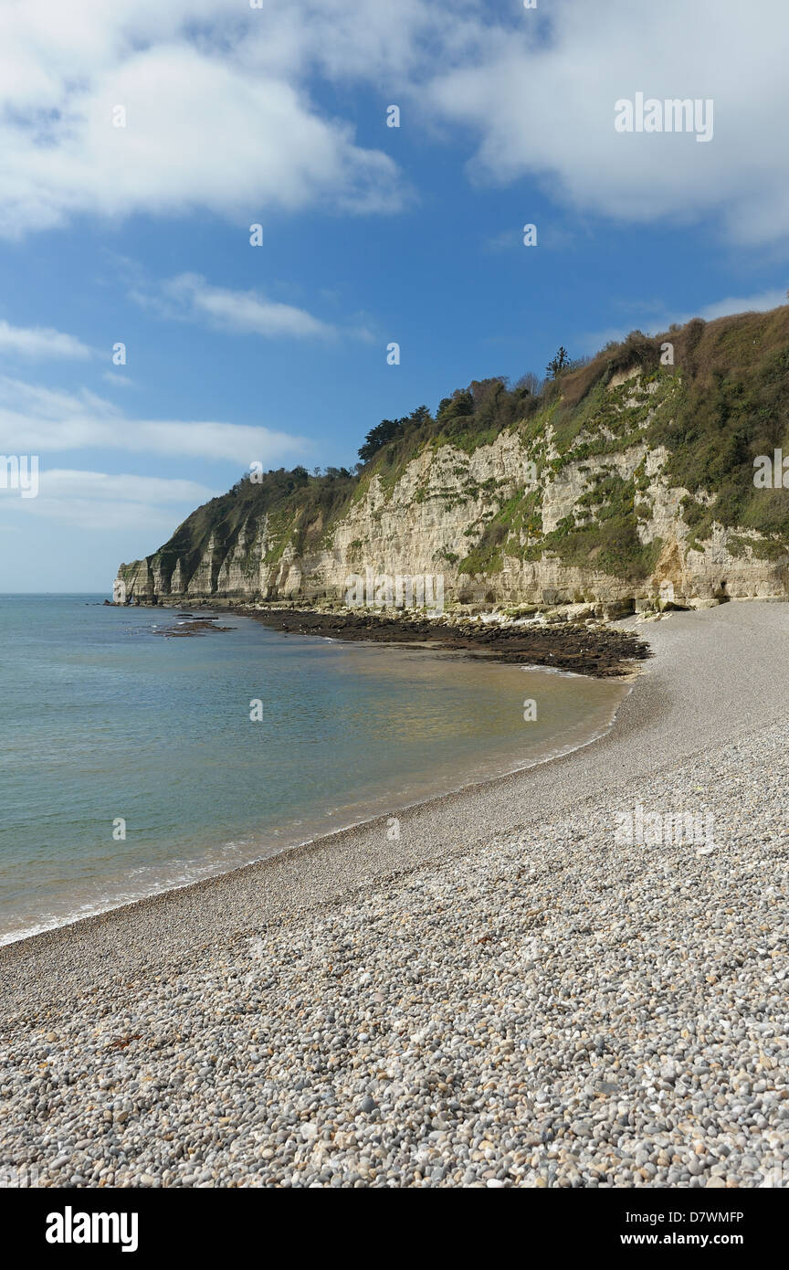 A pebble beach Beer Devon England uk Stock Photo - Alamy
