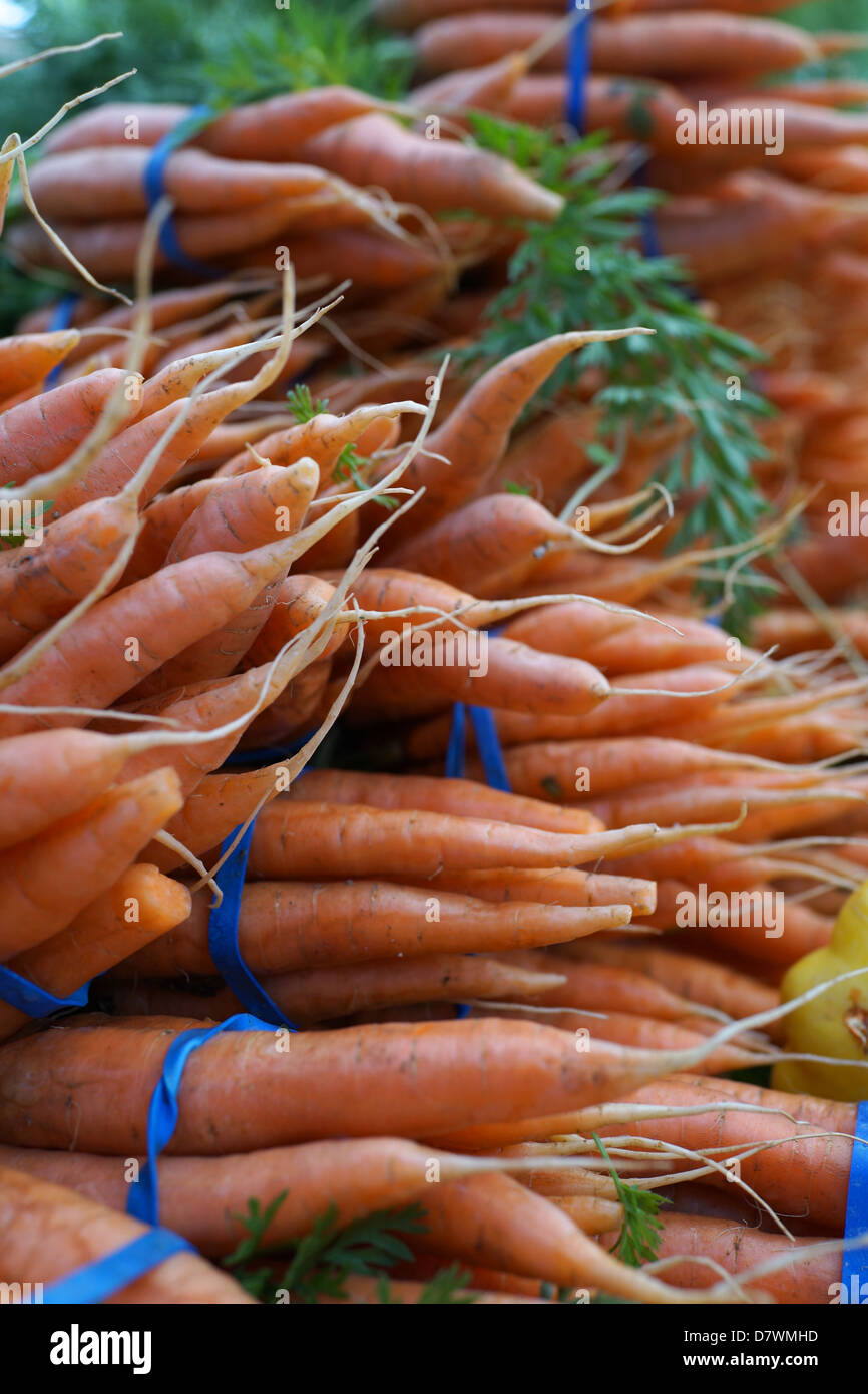 Bunch of carrot hi-res stock photography and images - Alamy