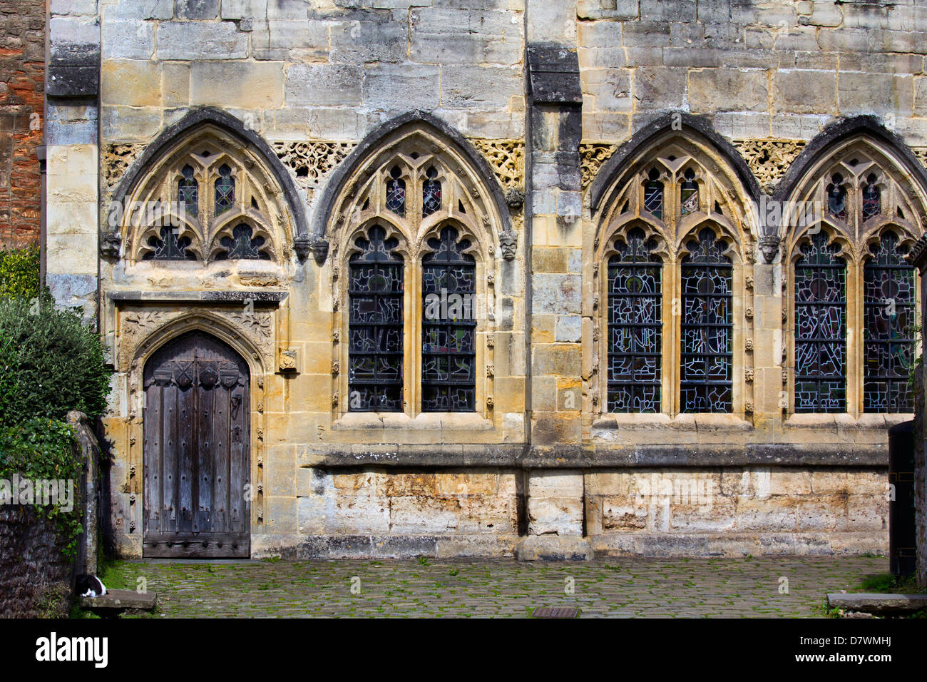 Old black white cat hi-res stock photography and images - Alamy