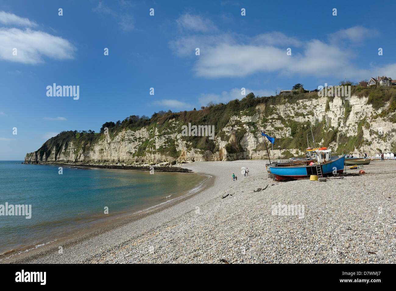 A pebble beach Beer Devon England uk Stock Photo - Alamy
