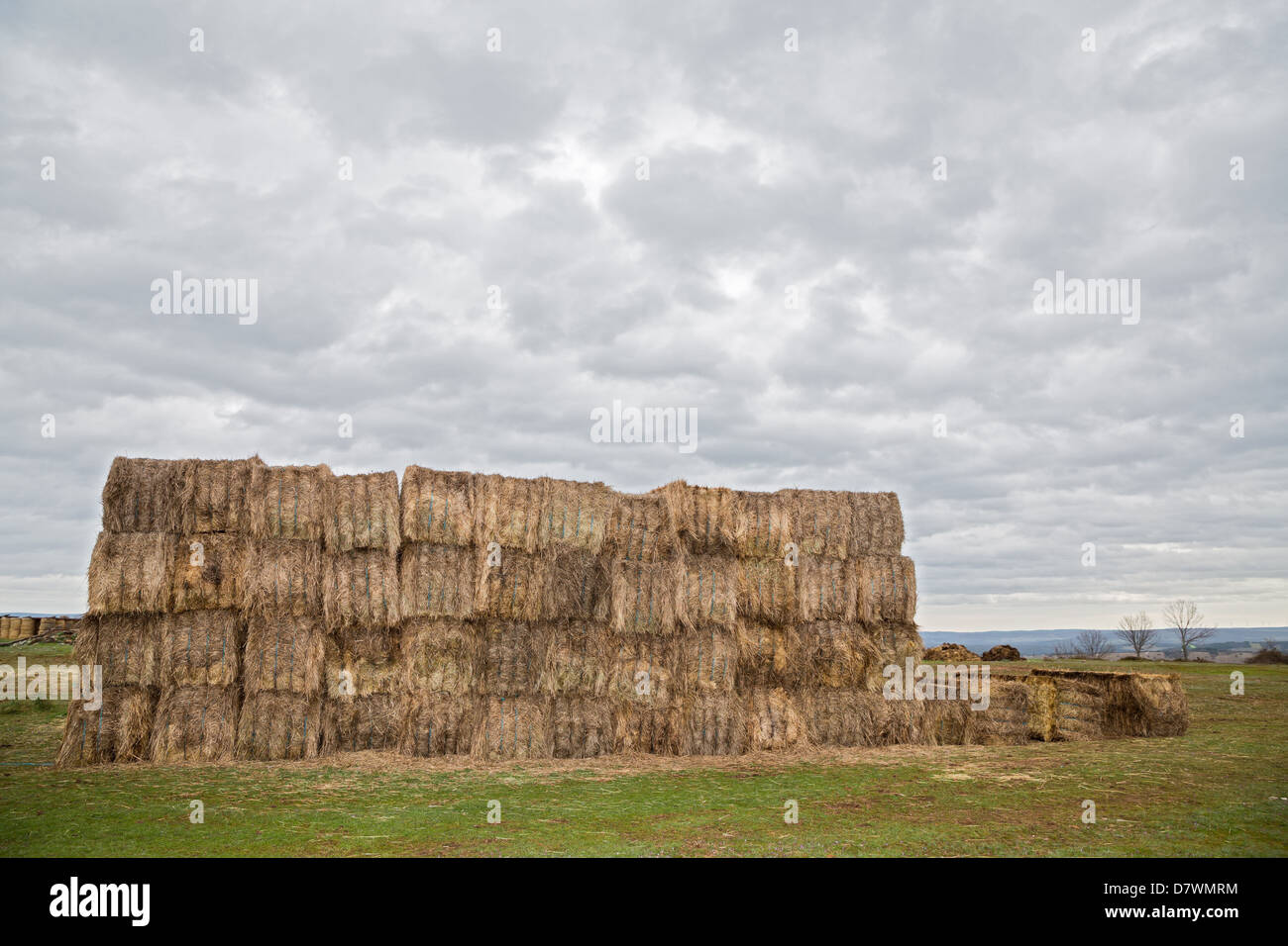 Rotten Straw High Resolution Stock Photography and Images - Alamy