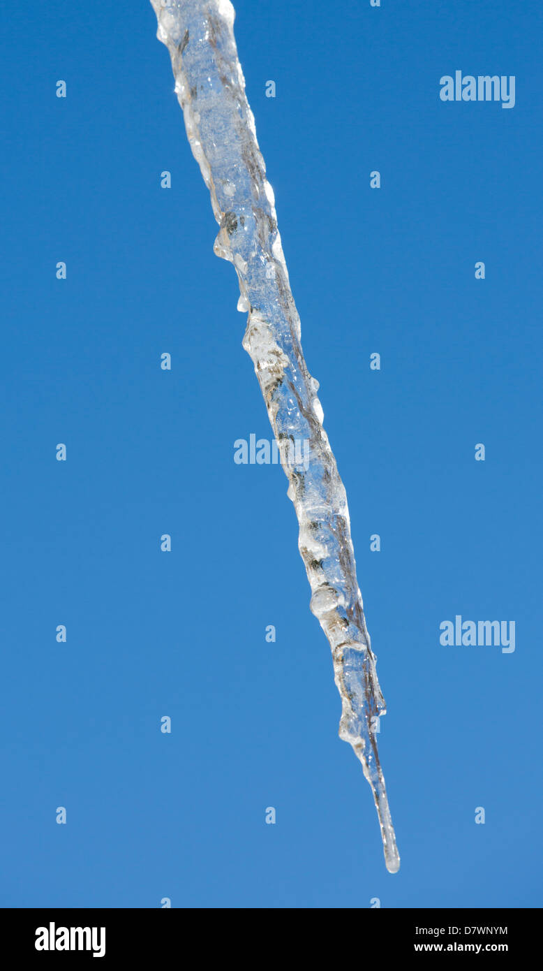Closeup of an isolated icicle Stock Photo - Alamy
