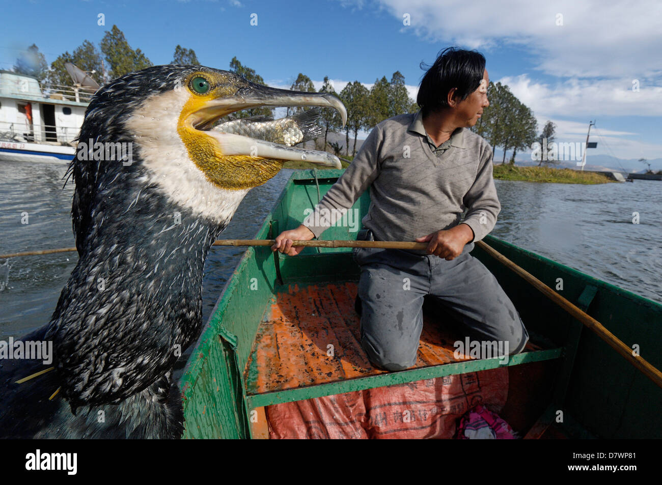 Dali Yunnan Fishing High Resolution Stock Photography and Images - Alamy