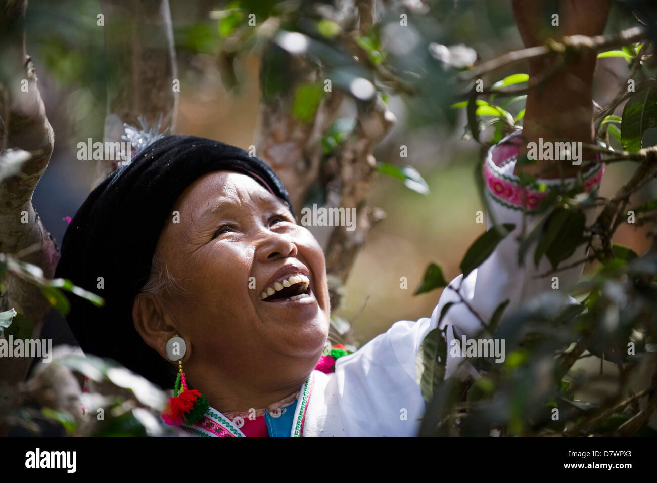 Bulan High Resolution Stock Photography and Images - Alamy