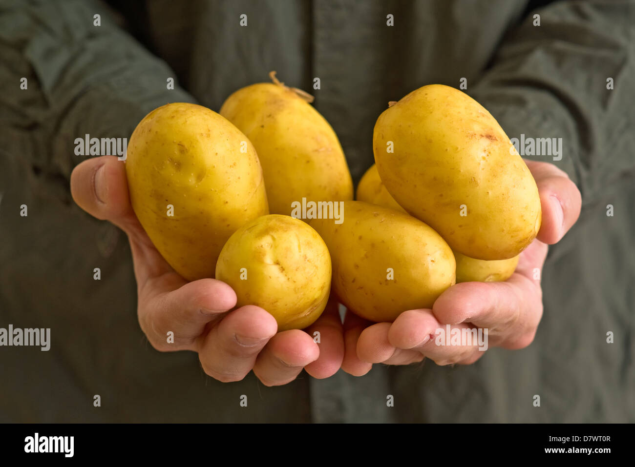 Hand potato farmer hi-res stock photography and images - Alamy