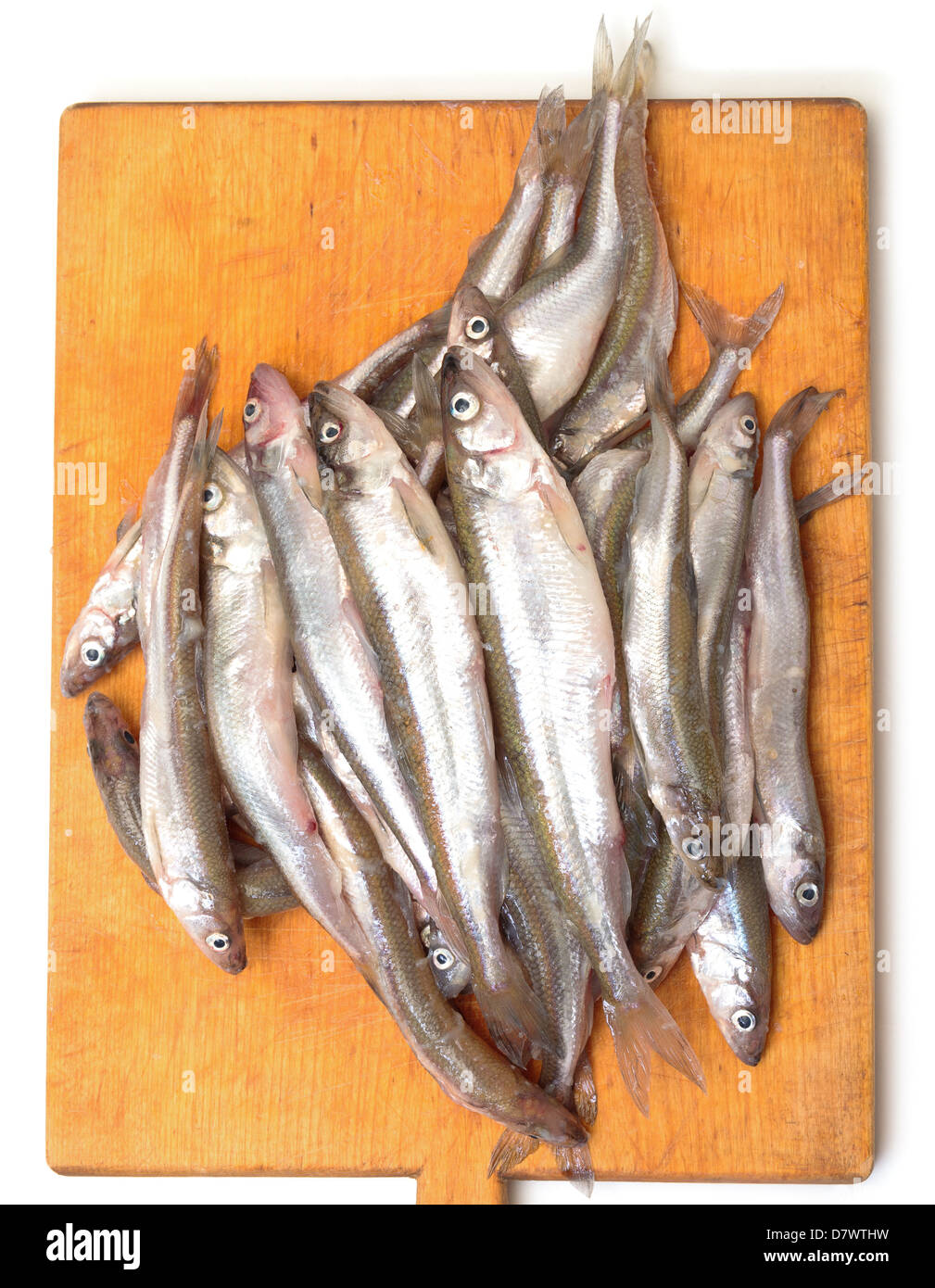 Fresh smelt fish on hi-res stock photography and images - Alamy