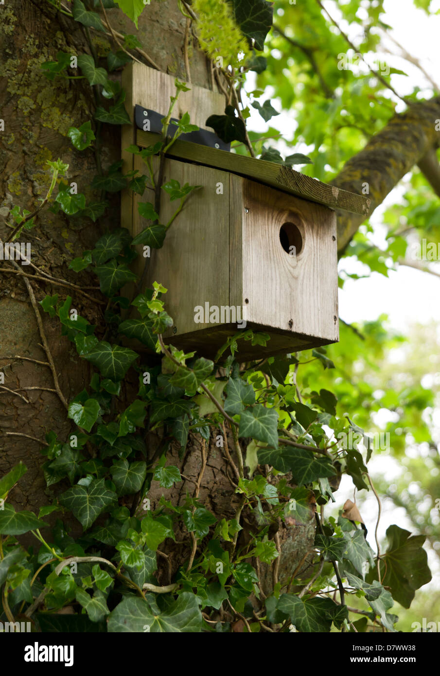A bird nesting box in a tree Stock Photo - Alamy