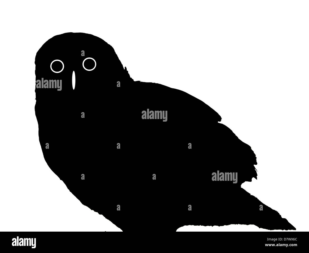 Nighthawk bird hi-res stock photography and images - Alamy