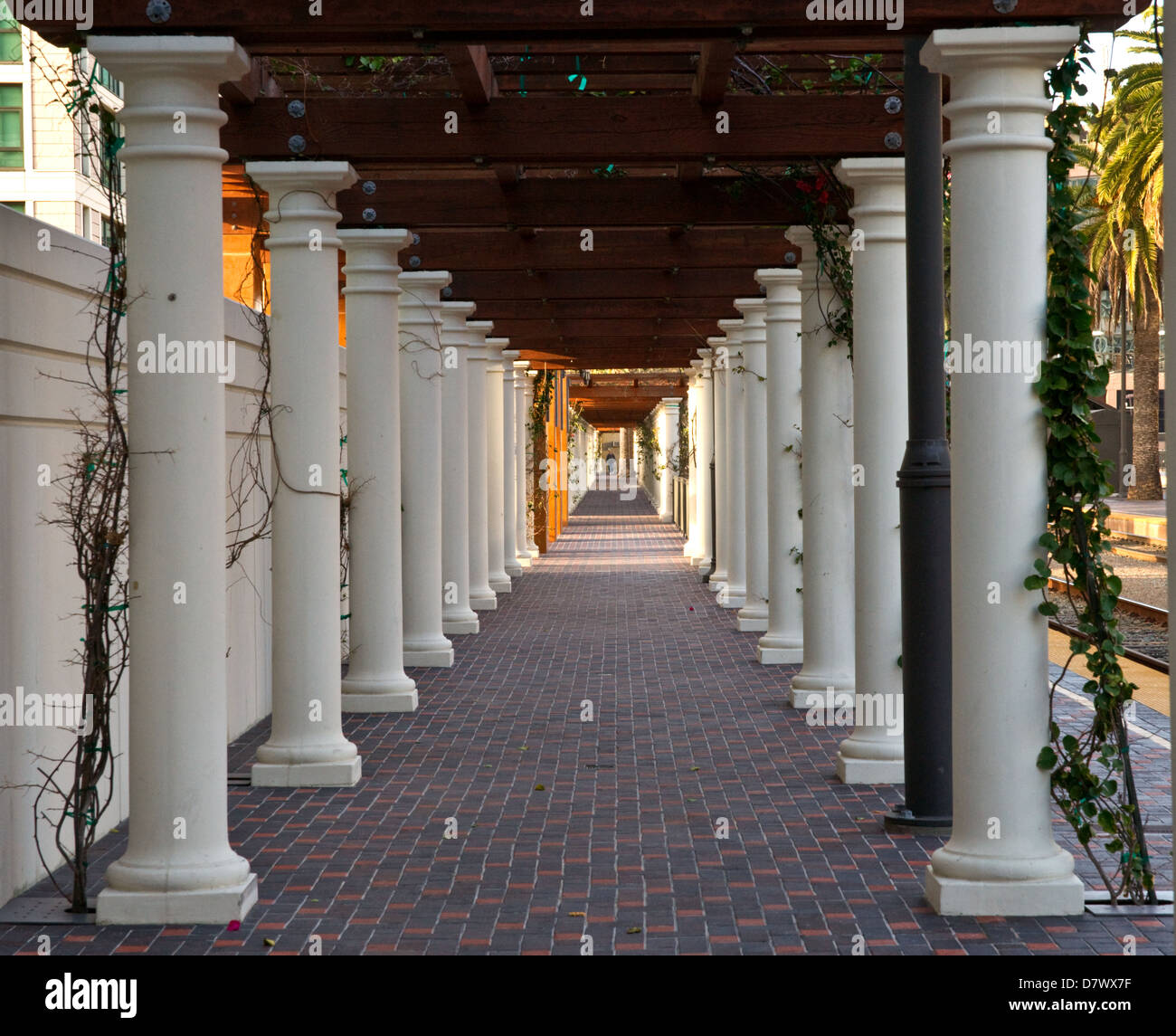 Shaded archway with pillars and climbing plants Stock Photo - Alamy