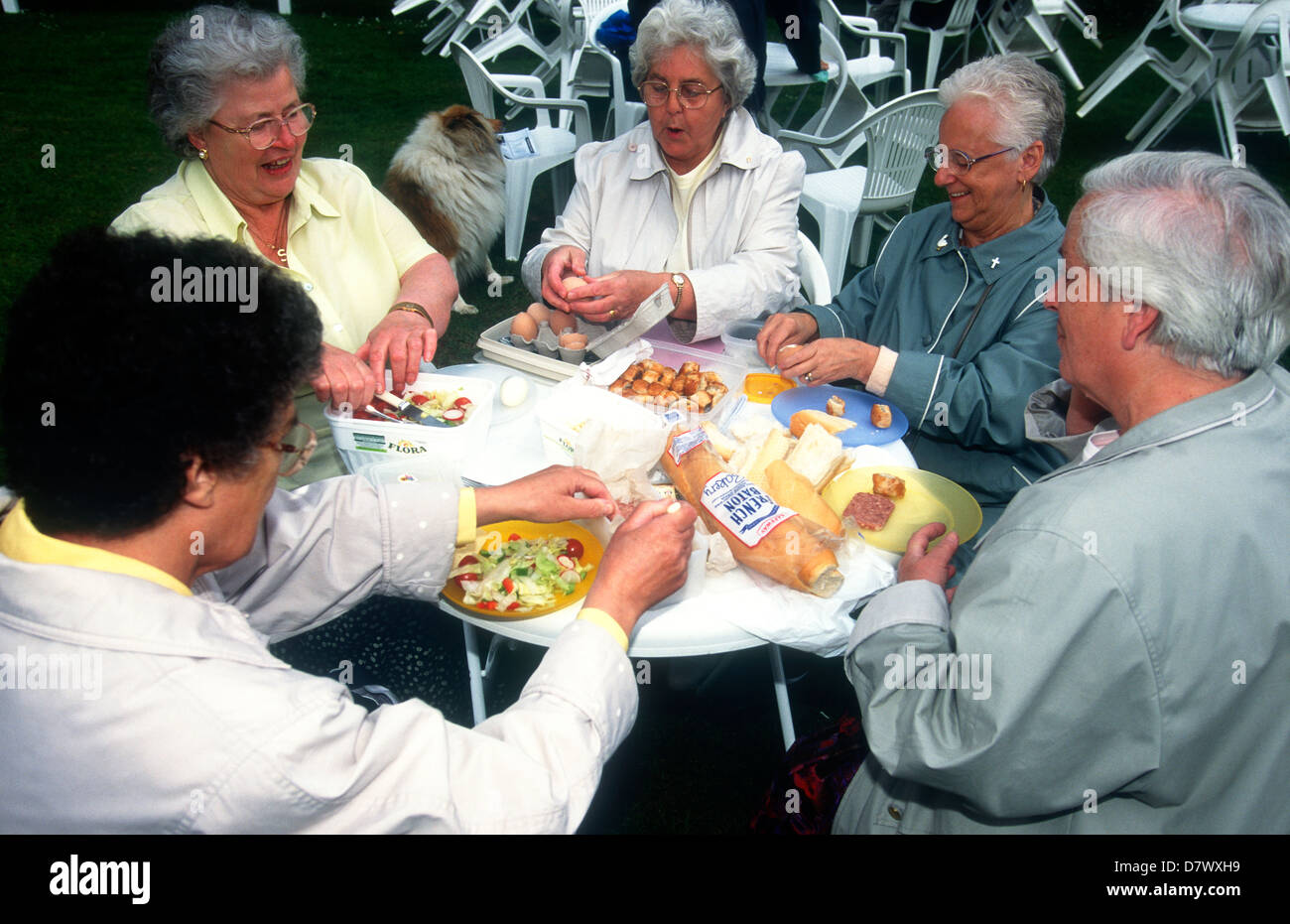 OAPs having a picnic in a London park, UK Stock Photo - Alamy