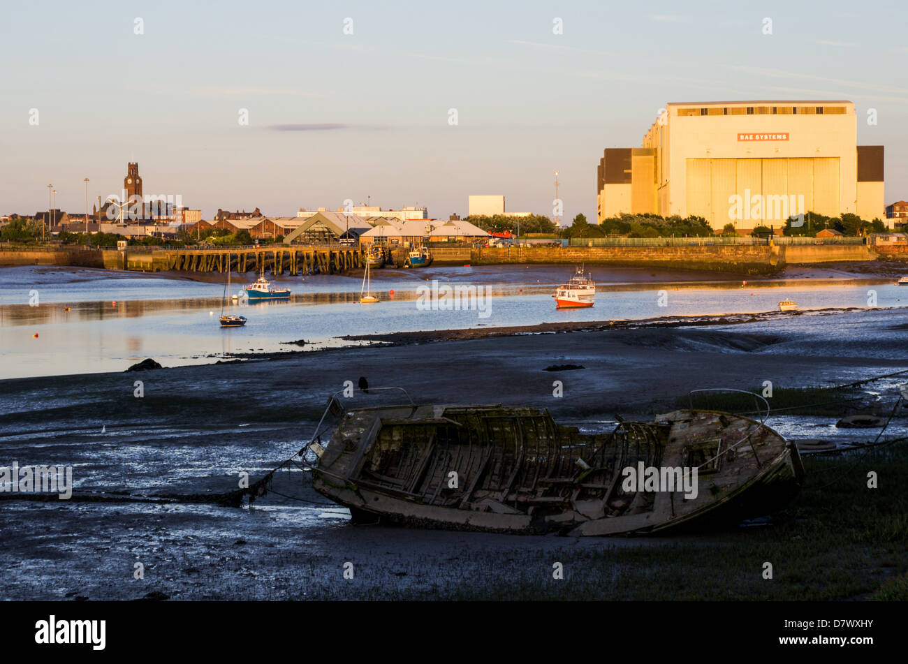 Rotten carcass hi-res stock photography and images - Alamy