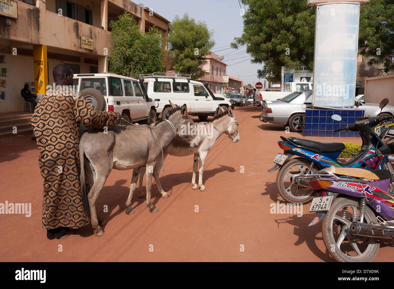 4 donkeys hi-res stock photography and images - Alamy