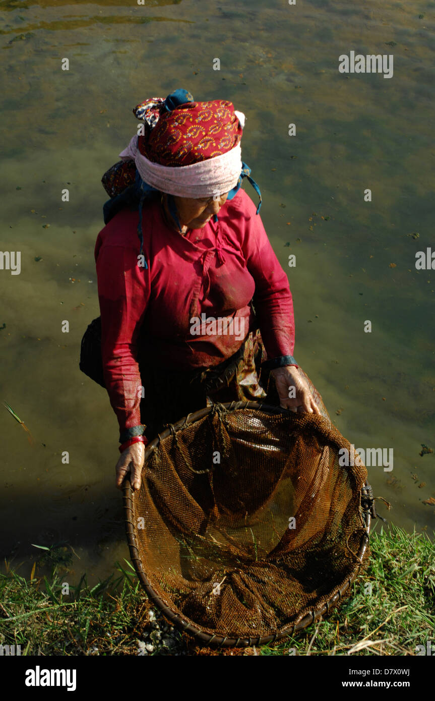 Nepalese women fishing with traditional nets near Phokara, Nepal Stock ...