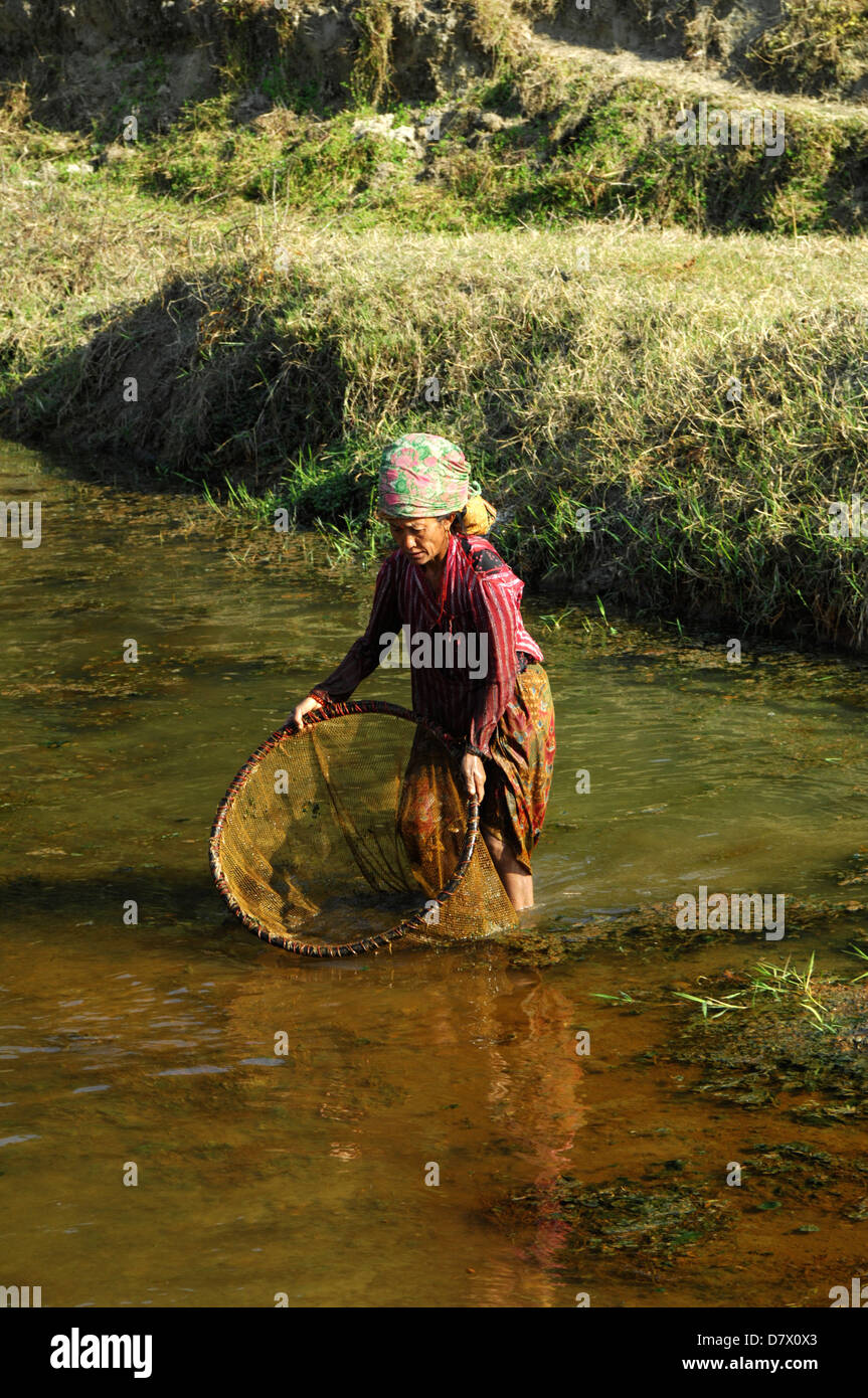 Nepalese women fishing with traditional nets near Phokara, Nepal Stock ...
