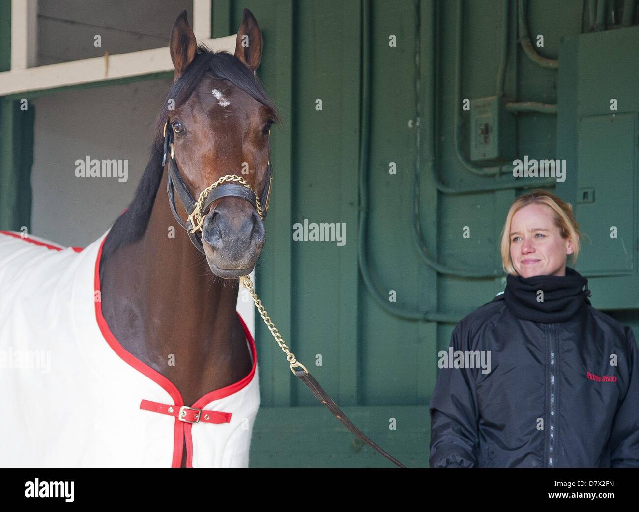 Baltimore, Maryland, USA. 14th May 2013. Exercise rider Jenn Patterson ...