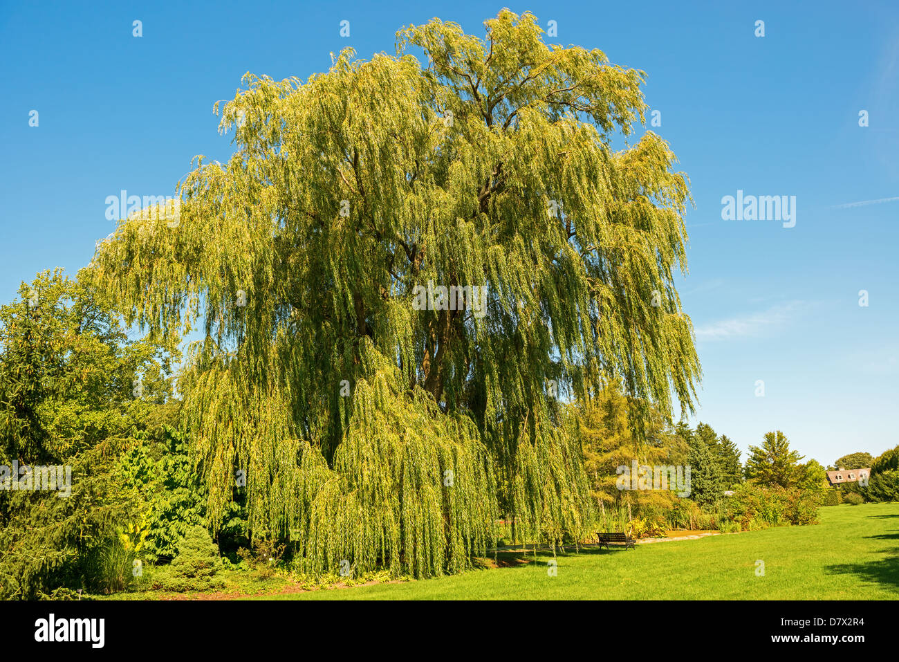 Tree in Niagara Botanical Gardens Stock Photo - Alamy