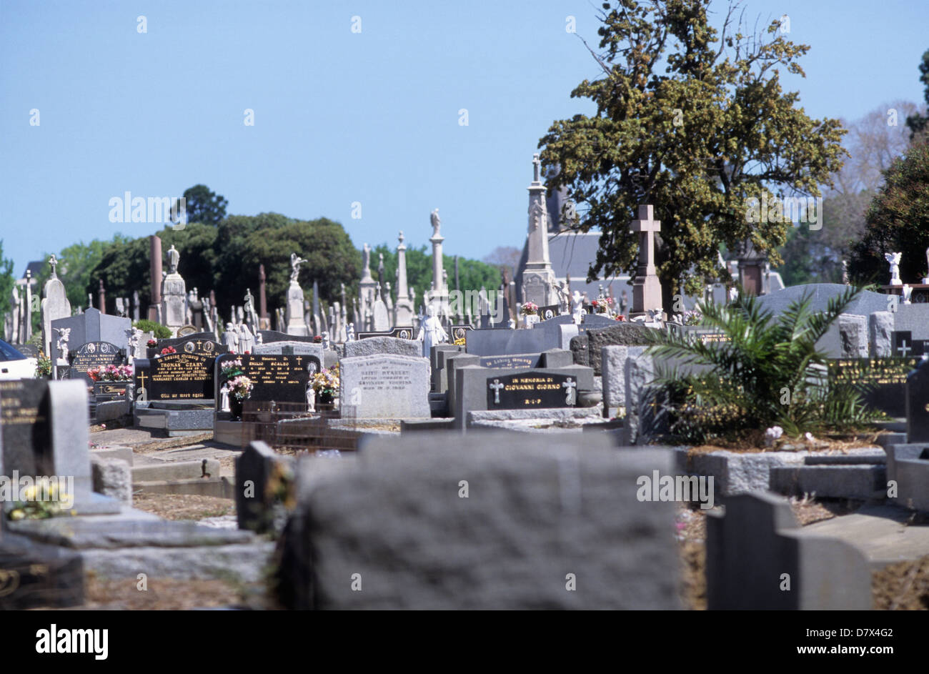 Australia, Victoria, Melbourne, the General Cemetery in Carlton Stock ...