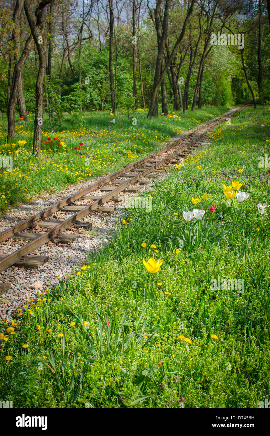 Train Tracks Through Forest With Flowers Stock Photo - Alamy