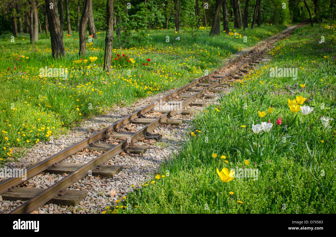 Train Tracks Through Forest With Flowers Stock Photo - Alamy