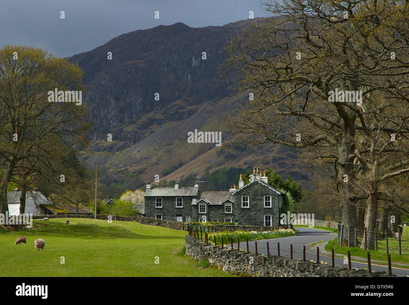 House in Borrowdale, Lake District National Park, Cumbria, England UK ...