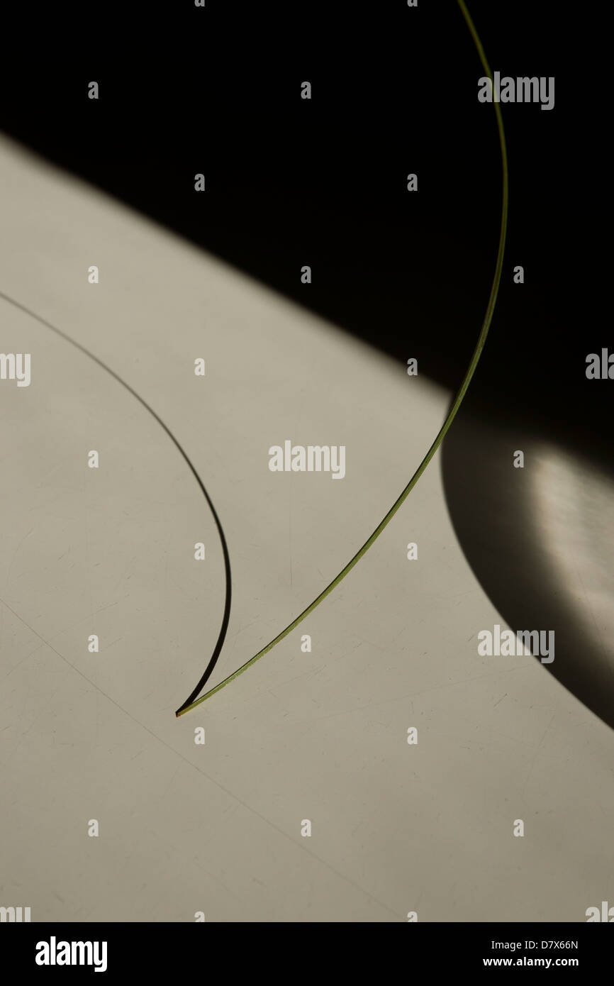 objects sunshine shadows Stock Photo - Alamy