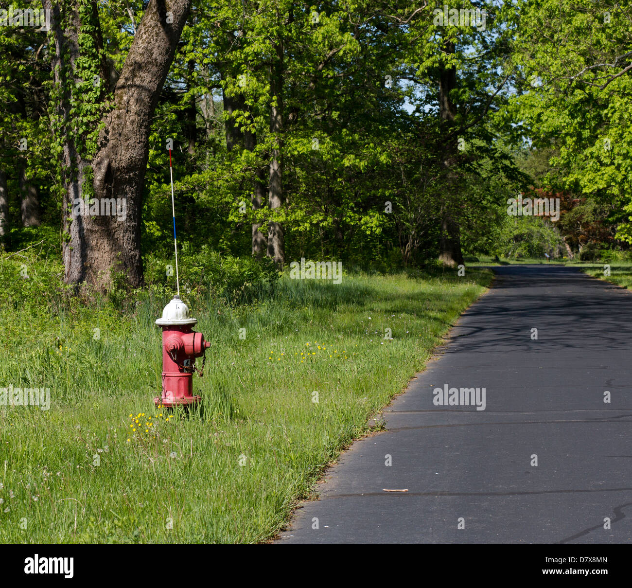 Fire hydrant on a country road Stock Photo - Alamy