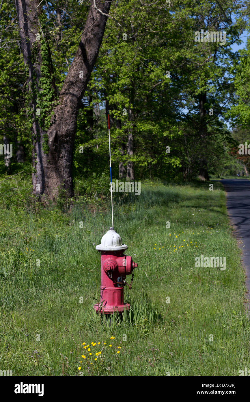 Fire hydrant on a country road Stock Photo - Alamy
