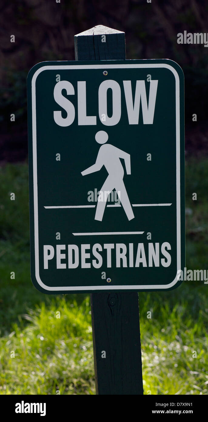 Warning road sign slow pedestrians Stock Photo - Alamy