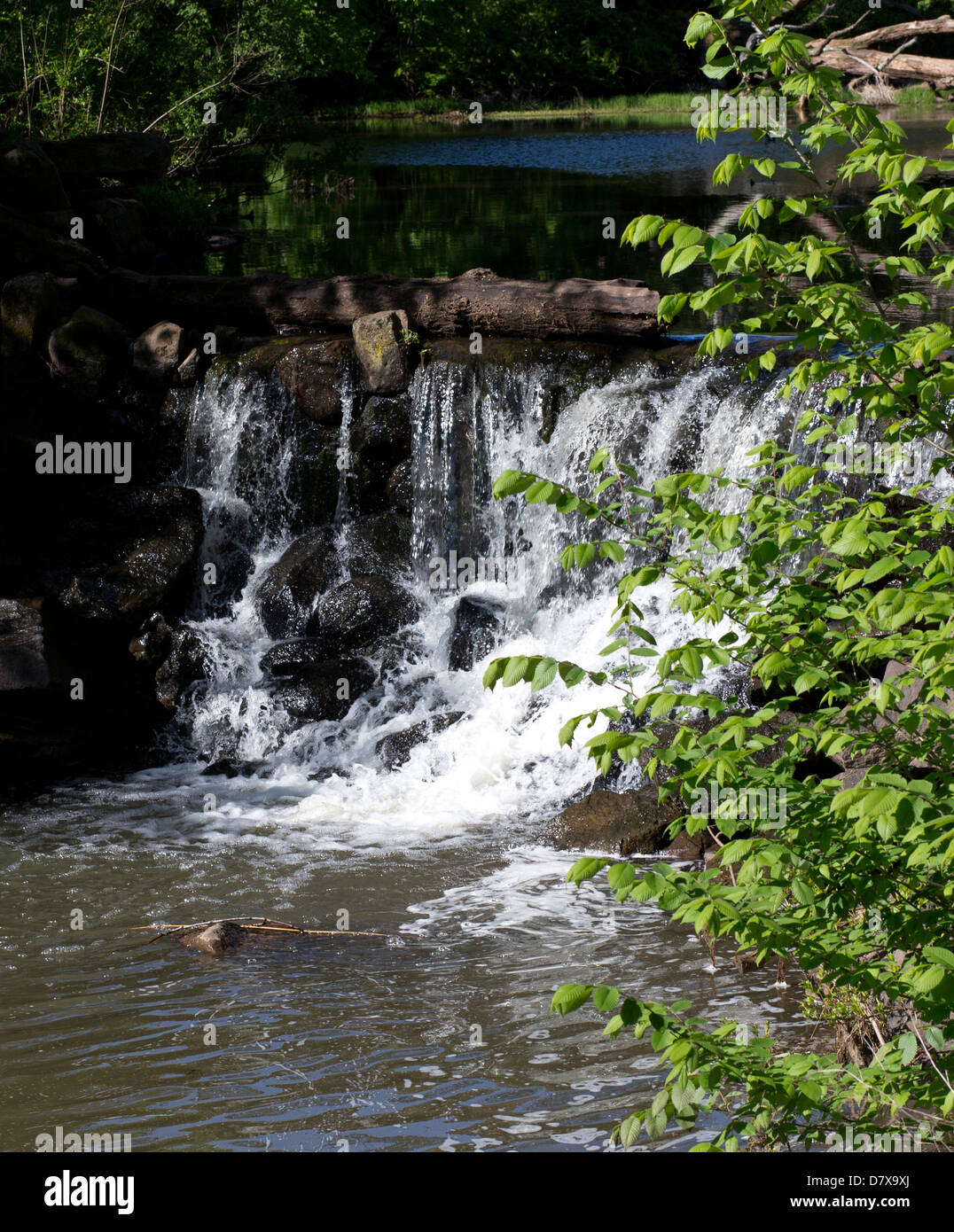 Water fall lake trees Stock Photo - Alamy