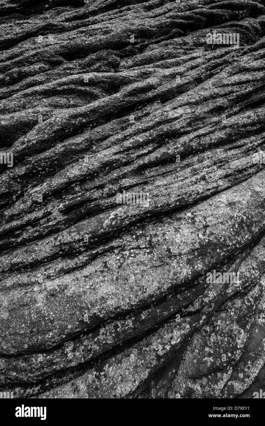 Layered detail Black and White Stock Photos & Images - Alamy