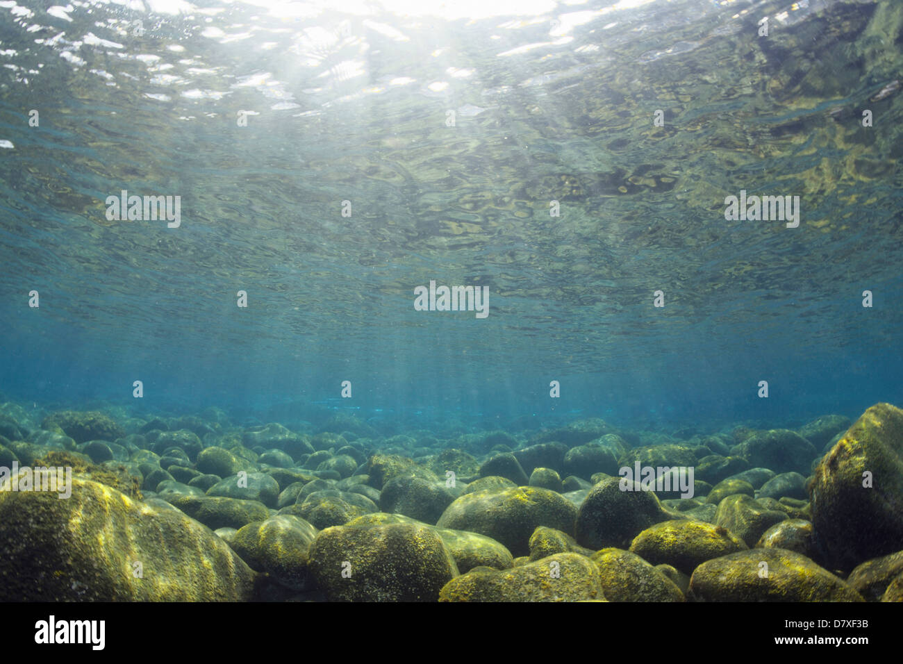 Underwater landscape hi-res stock photography and images - Alamy
