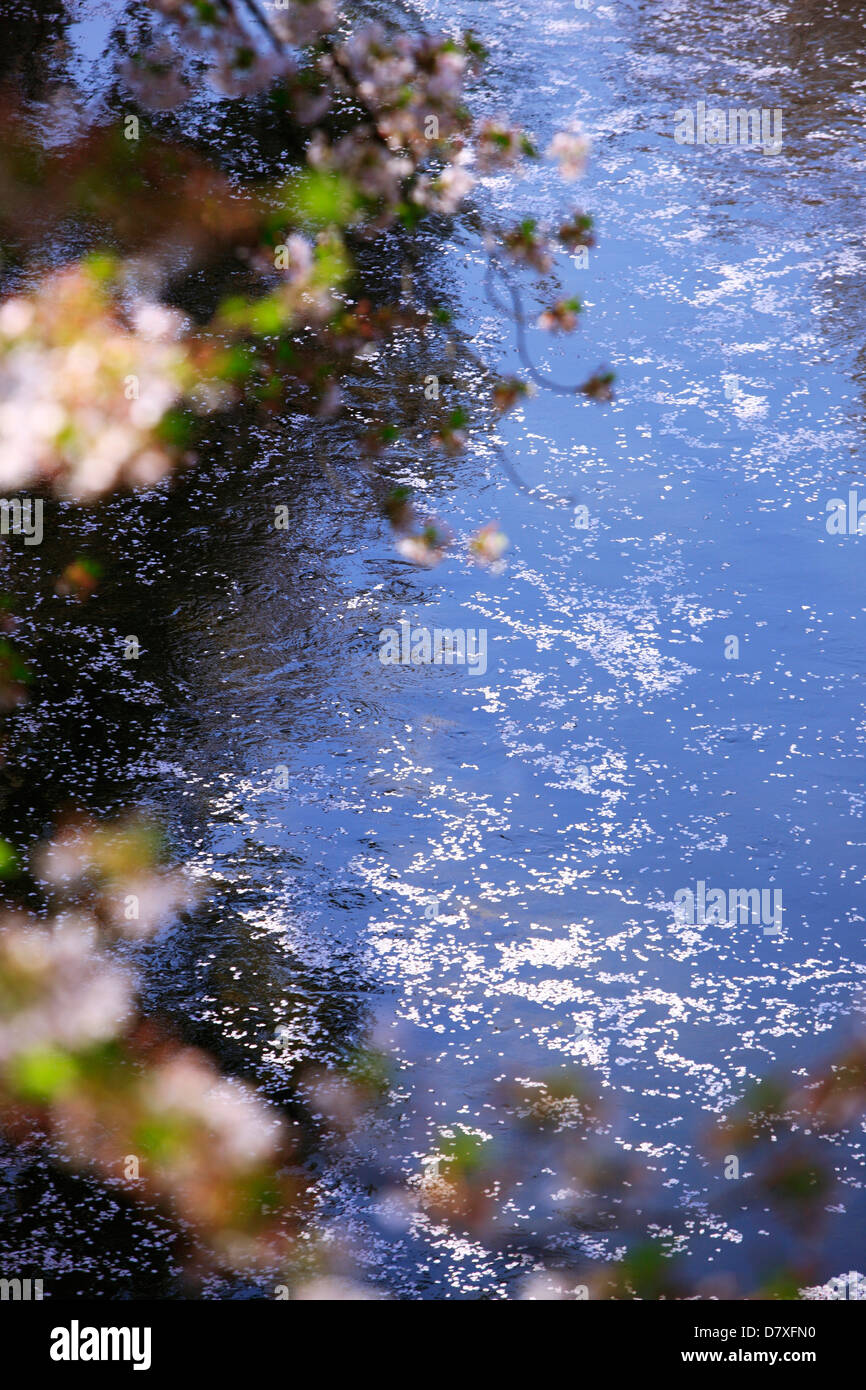 Shakuji river, Itabashi Stock Photo - Alamy