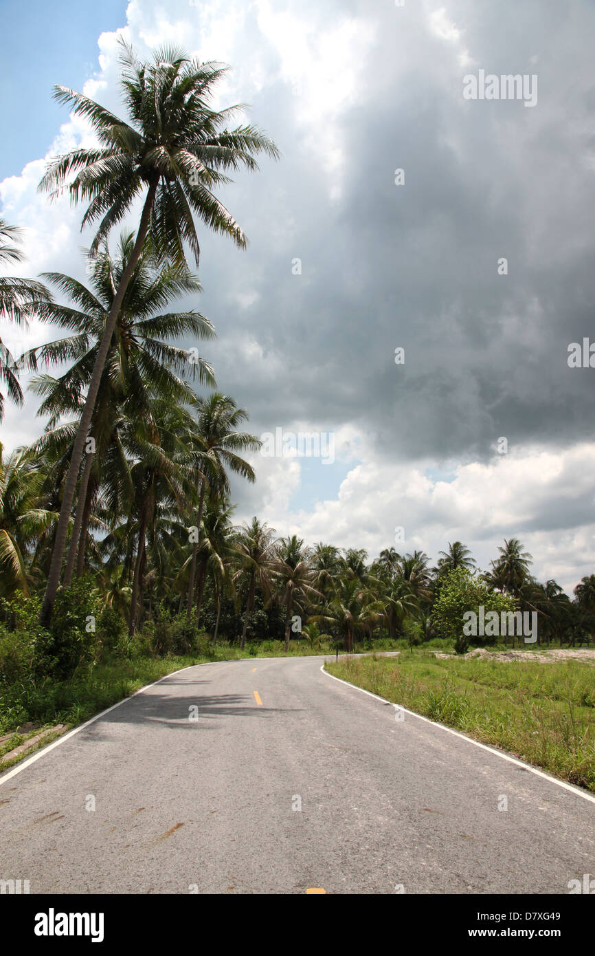 Road with coconut trees in the Will rain day Stock Photo - Alamy