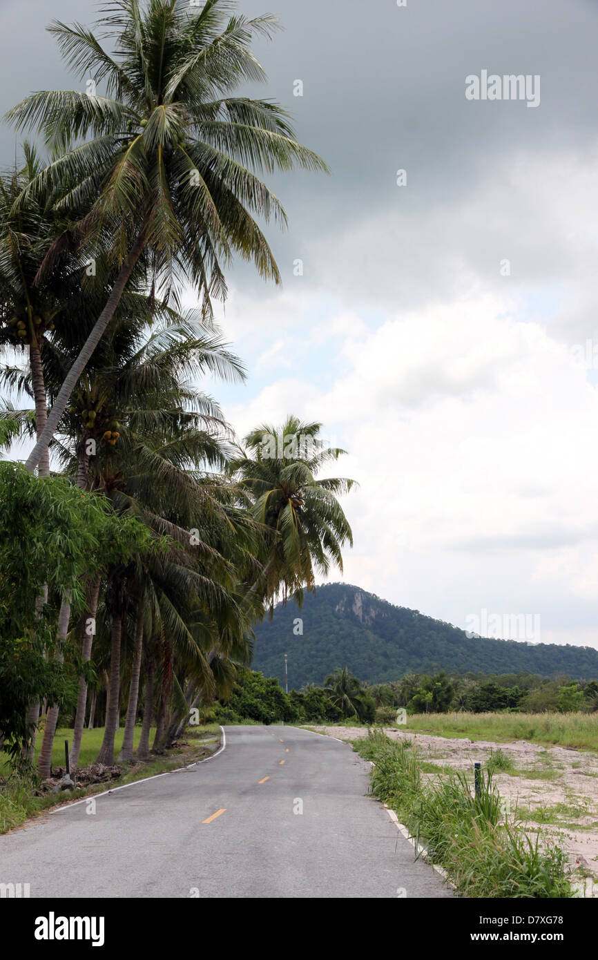 Overlooking green trees hi-res stock photography and images - Alamy