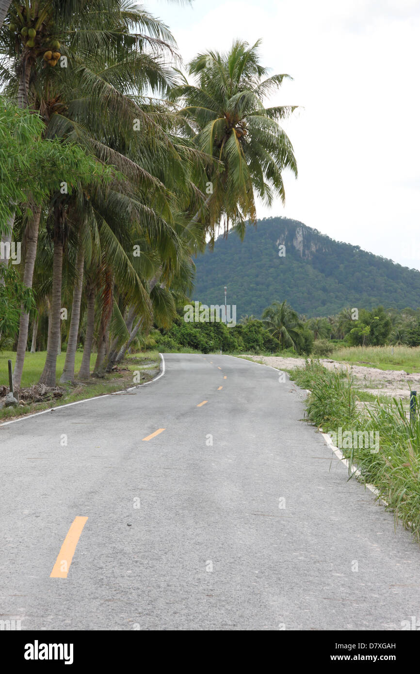 Overlooking green trees hi-res stock photography and images - Alamy