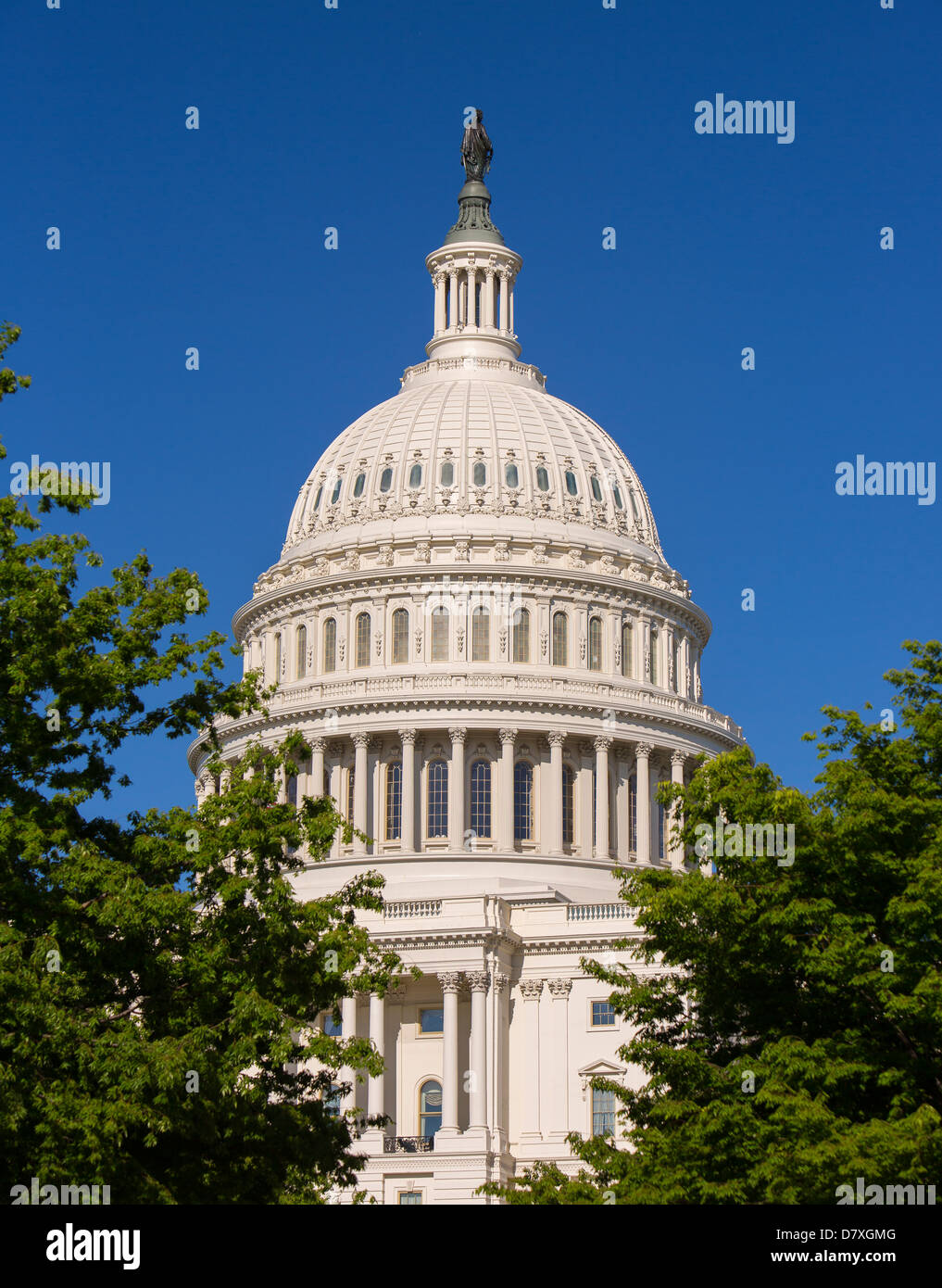 Washington dc the capitol hi-res stock photography and images - Alamy