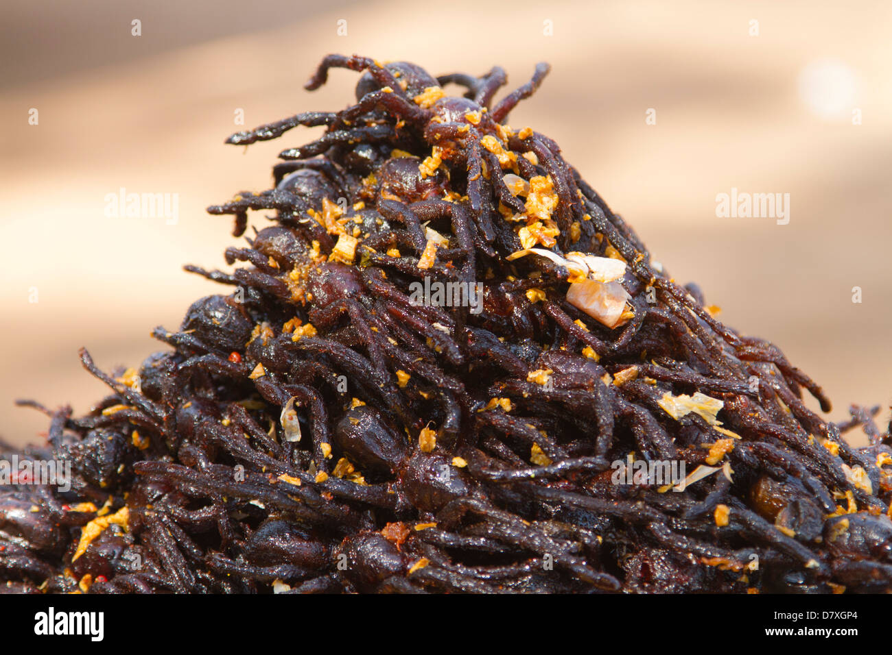Fried spiders (edible bugs) for sale in a market in Cambodia Stock ...
